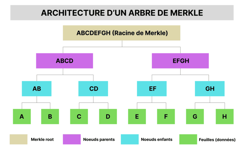 Que sont les Arbres de Merkle ? (Merkle tree)