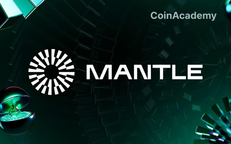 Mantle (MNT) : Qu’est-ce que c’est, comment ça fonctionne et comment en ...