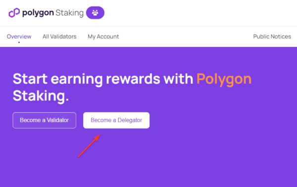 Comment staker ses Polygon (MATIC) de A à Z en 2025 ? Tutoriel staking MATIC